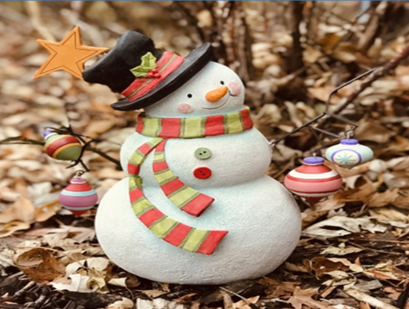 Snow Buddy Scavenger Hunt | Spring Lake Park Minnesota